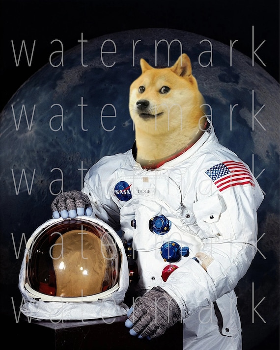 Doge Original Poster