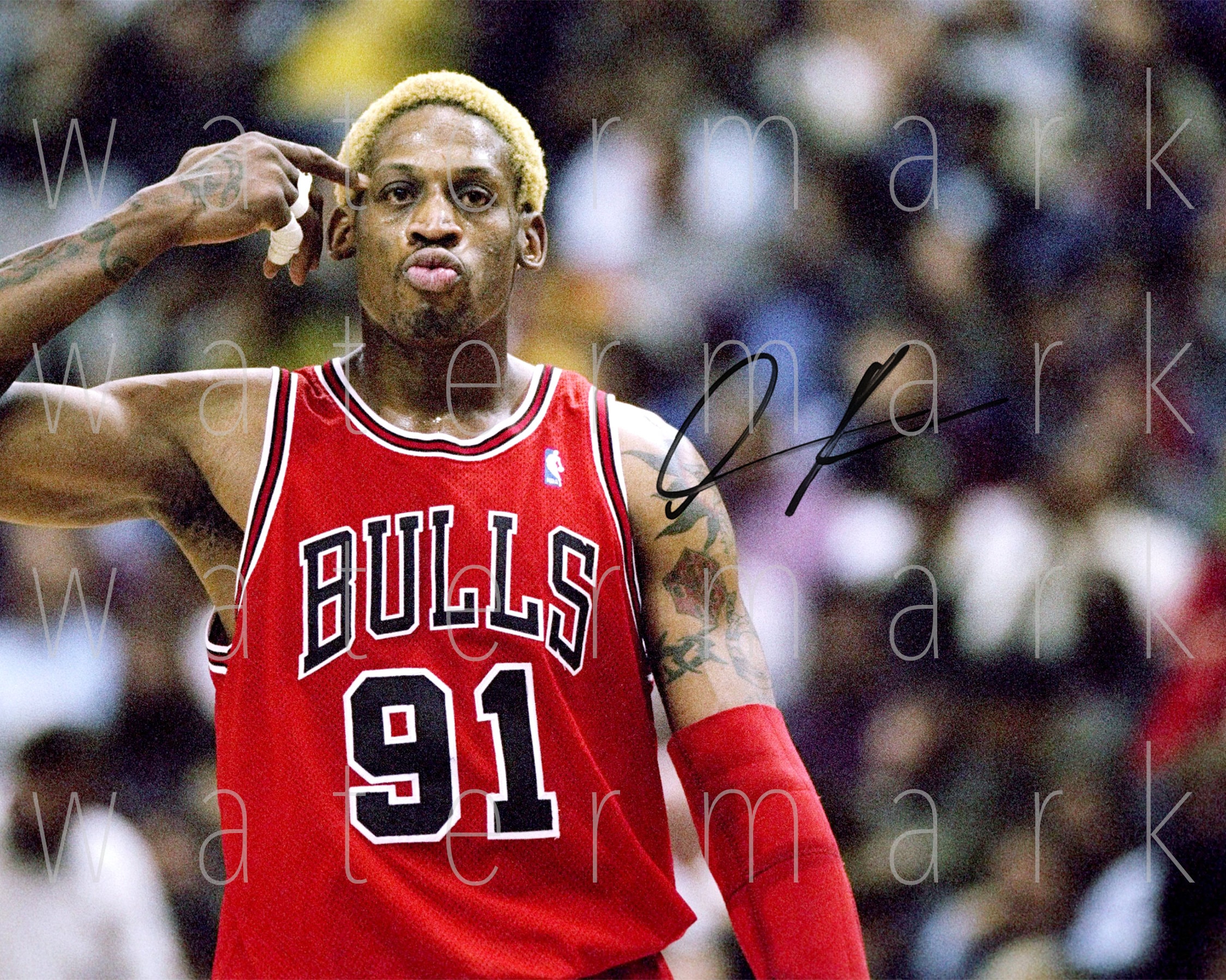 Dennis Rodman Chicago Bulls Signed 8x10 Photo | Etsy