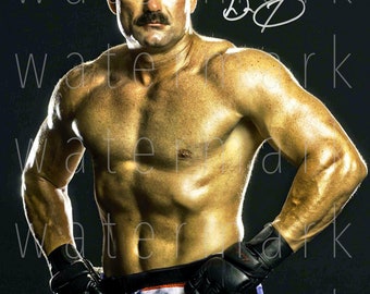 Don Frye Poster - Etsy