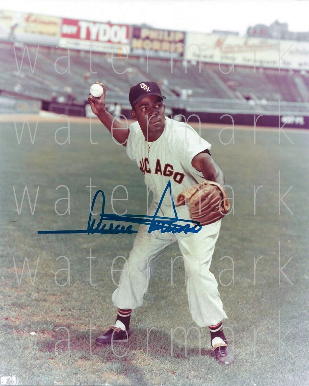 Minnie Minoso White Sox Signed 8x10 Photo Autograph Photograph Poster ...