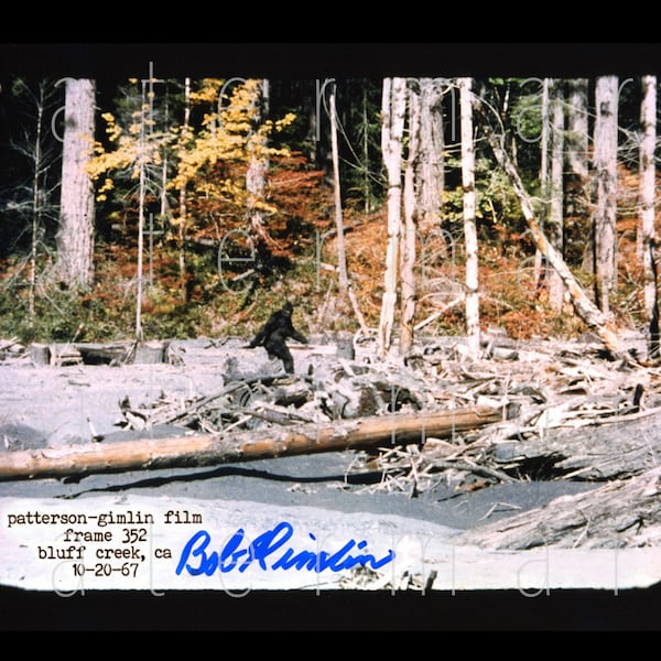 Bigfoot Poster - Etsy