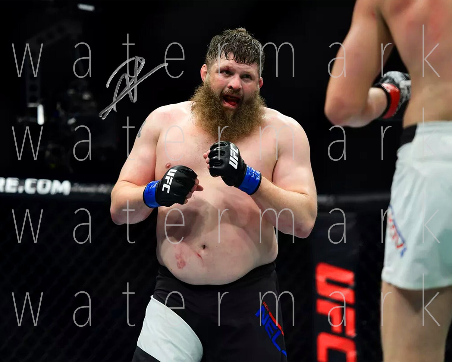 Roy Nelson Ufc