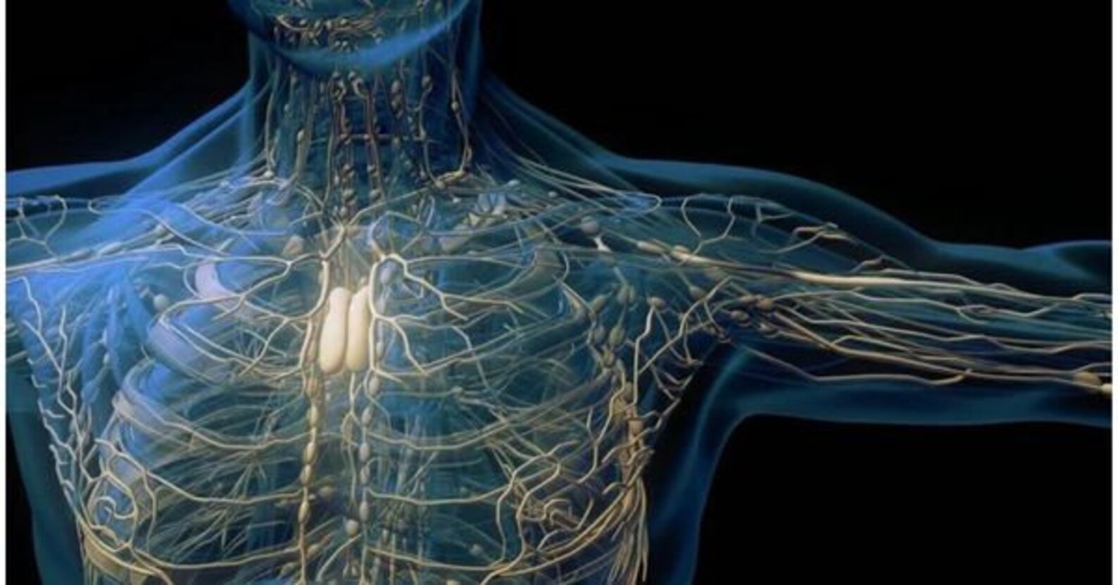 Remote Body Scans With a MEDICAL INTUITIVE - Etsy