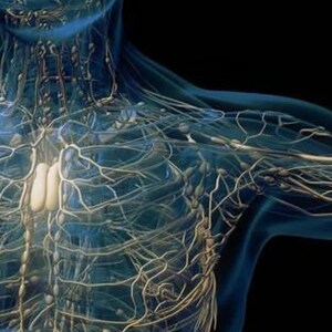 Remote Body Scans With a MEDICAL INTUITIVE - Etsy