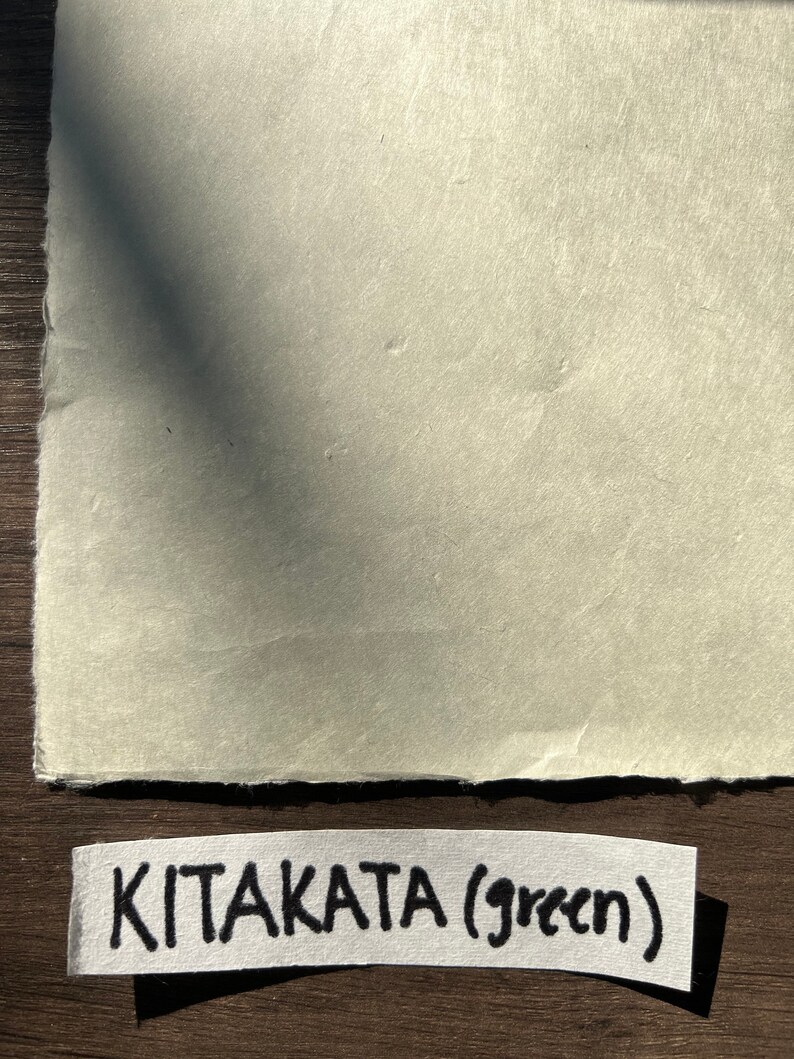 Lizard Linocut Print savanna Keepers Handmade | Etsy