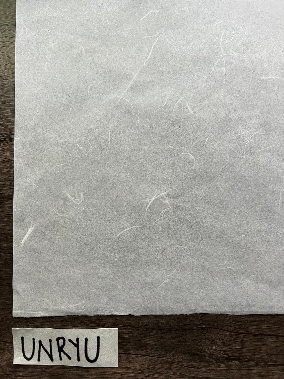 Lizard Linocut Print savanna Keepers Handmade | Etsy