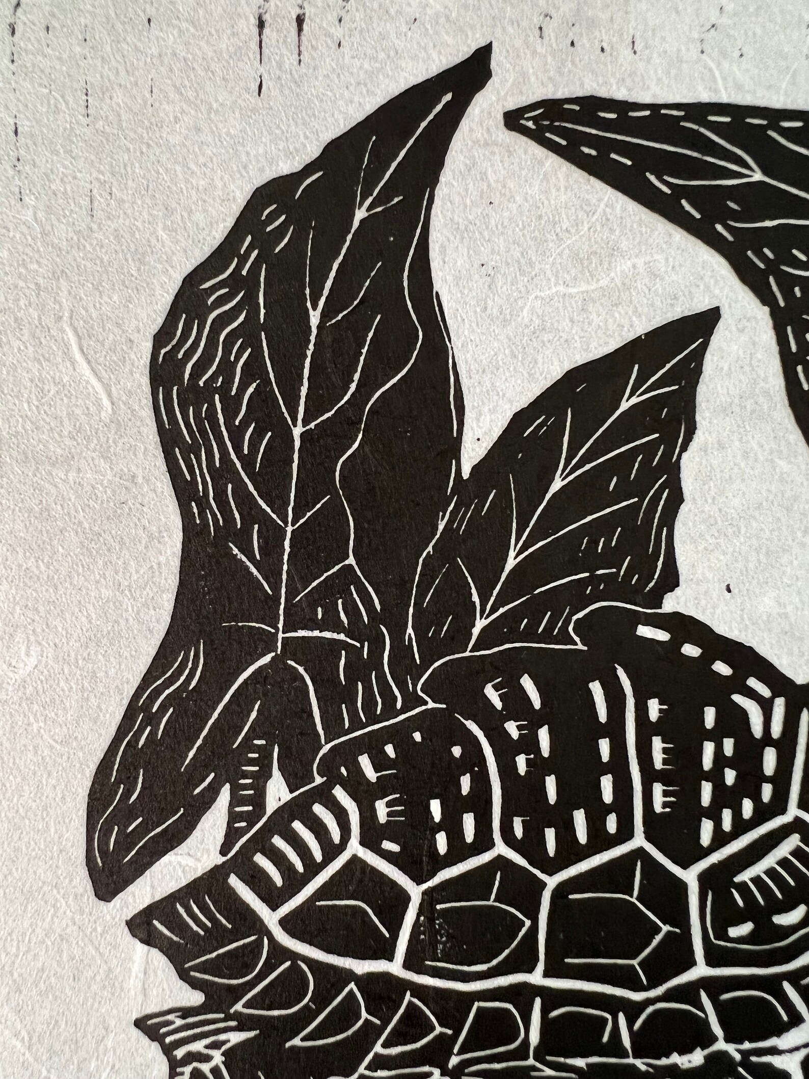 Map Turtle Linocut Print map Turtle and Friends - Etsy