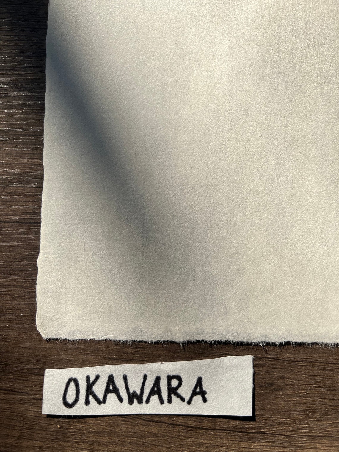 Lizard Linocut Print savanna Keepers Handmade | Etsy