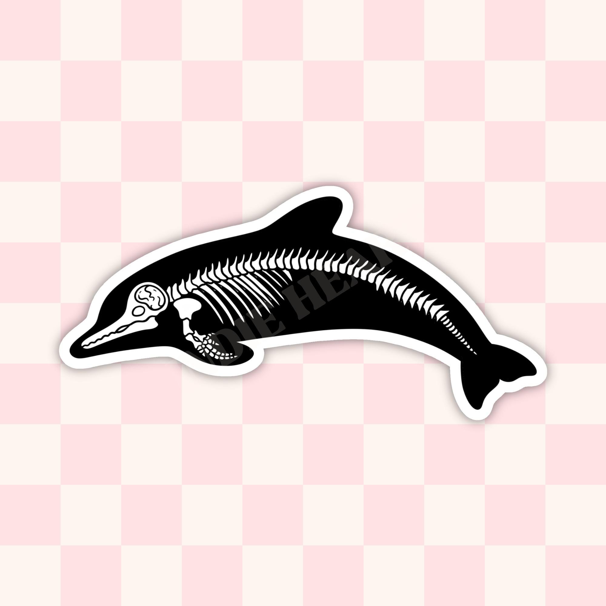 Skeleton Dolphin Vinyl Sticker: E-reader, Laptop Decal - Etsy