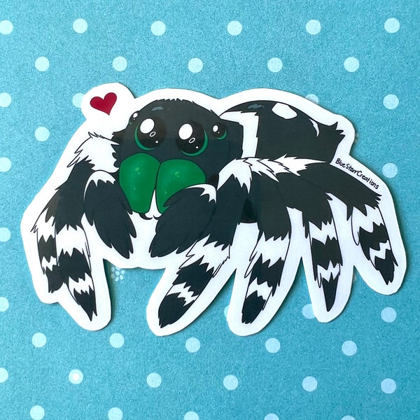 Spider Sticker - Etsy