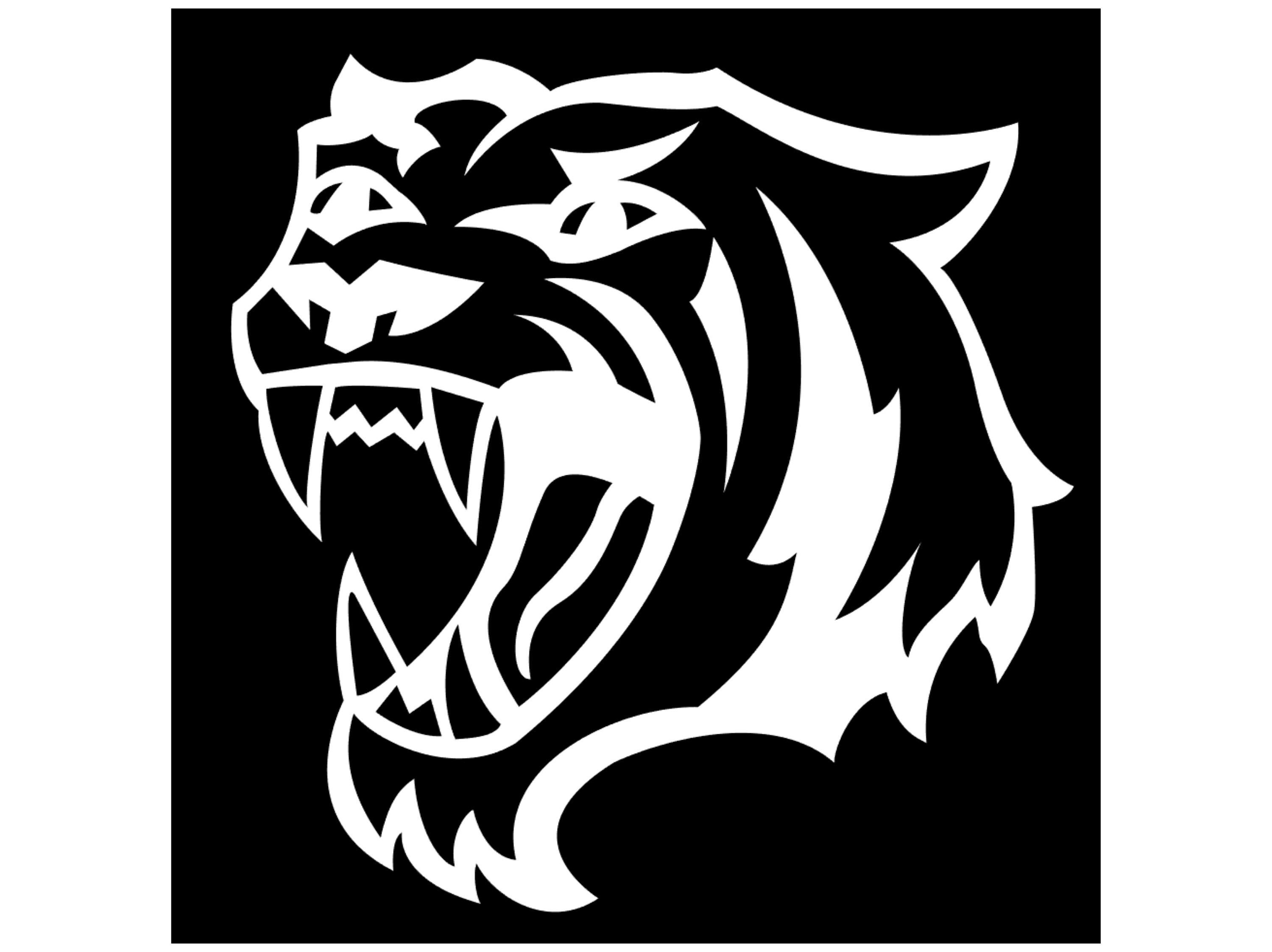 Tiger bumper sticker Tiger stare to the right car decal Tiger sticker ...