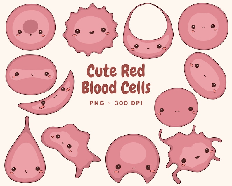 Cute Red Blood Cell Morphology Clip Art Hematology Cute - Etsy