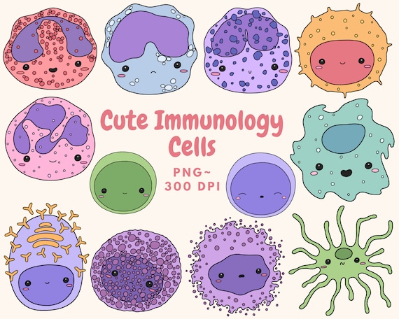 Cute Immunology Cells Clip Art Digital Download Cute Biology | Etsy