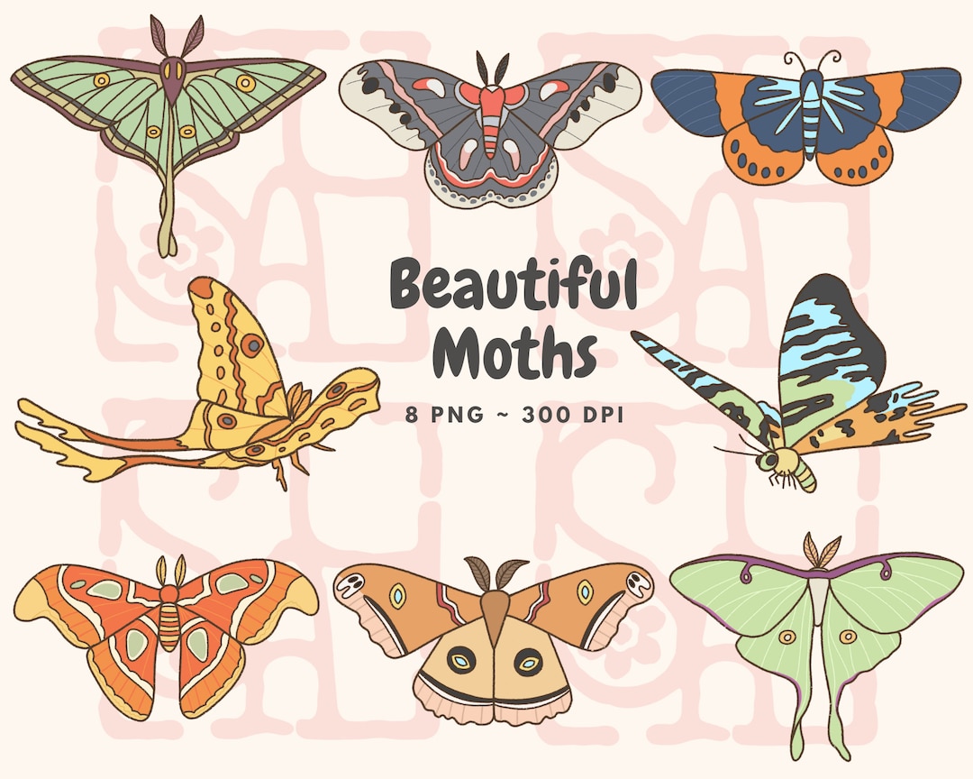 Beautiful Moth Clipart Digital Download Png, Moth Illustrations ...