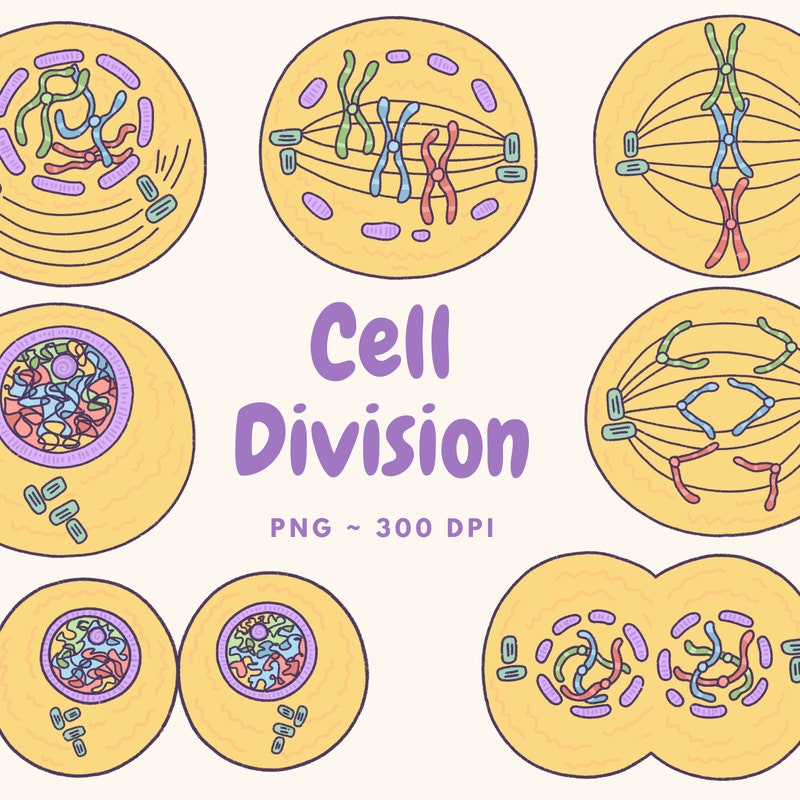 Division Cartoon Images - Etsy