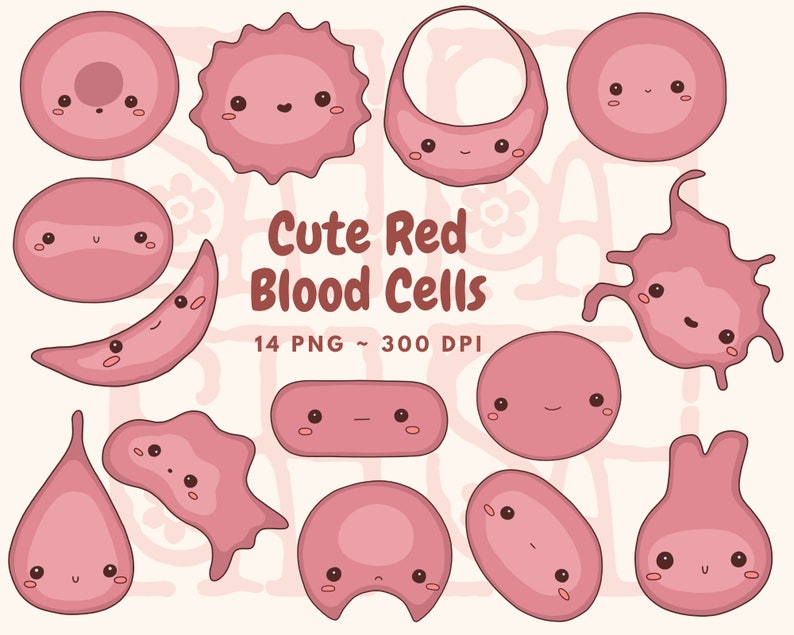 Cute Red Blood Cell Morphology Clip Art, Hematology, Cute Biology ...