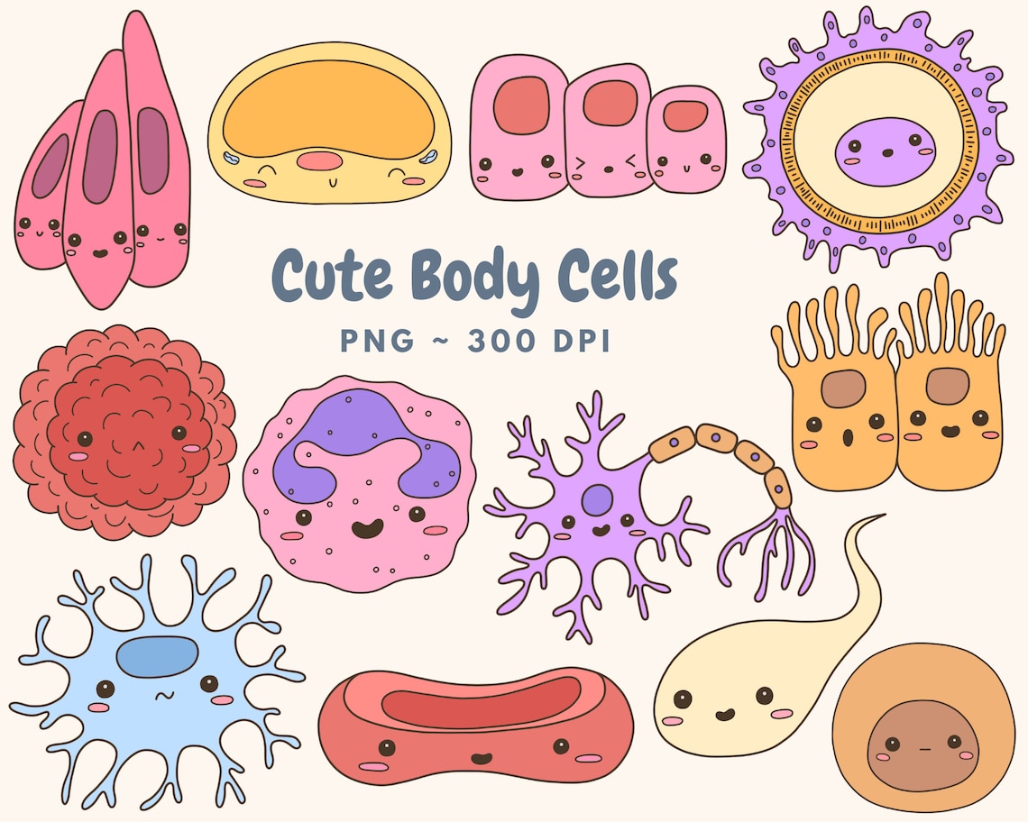 Cute Body Cells Clip Art Digital Download, Biology Clip Art , Kawaii ...