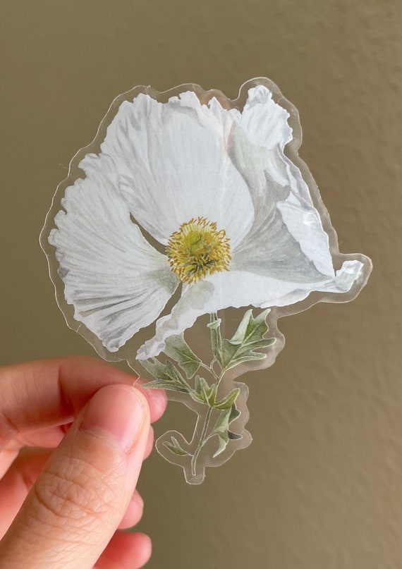 Matilija Poppy Watercolor Sticker - Etsy
