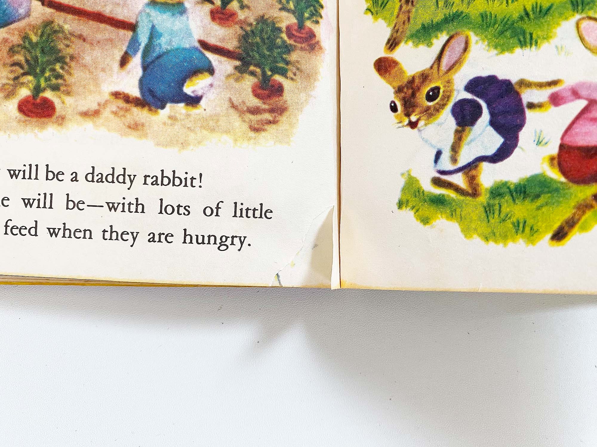 The Bunny Book, Little Golden Book, Vintage, Hardcover, 1973, Children ...
