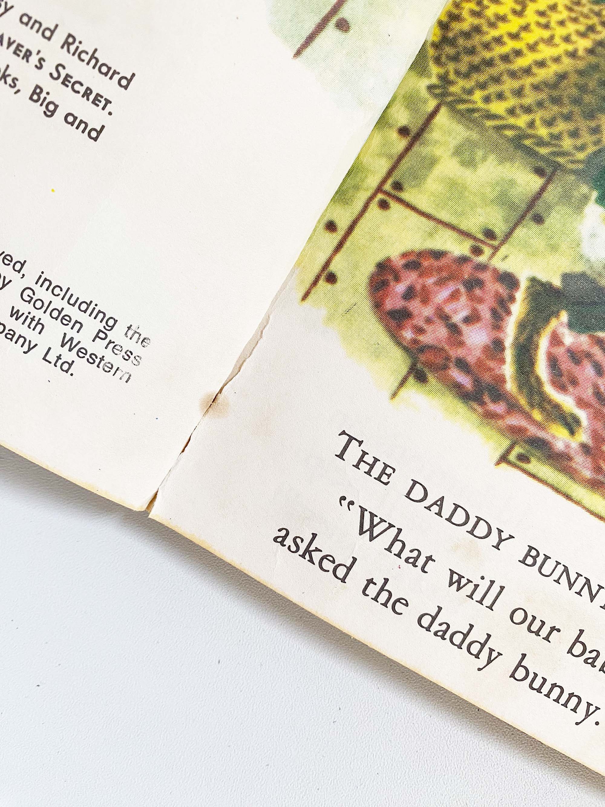 The Bunny Book, Little Golden Book, Vintage, Hardcover, 1973, Children ...
