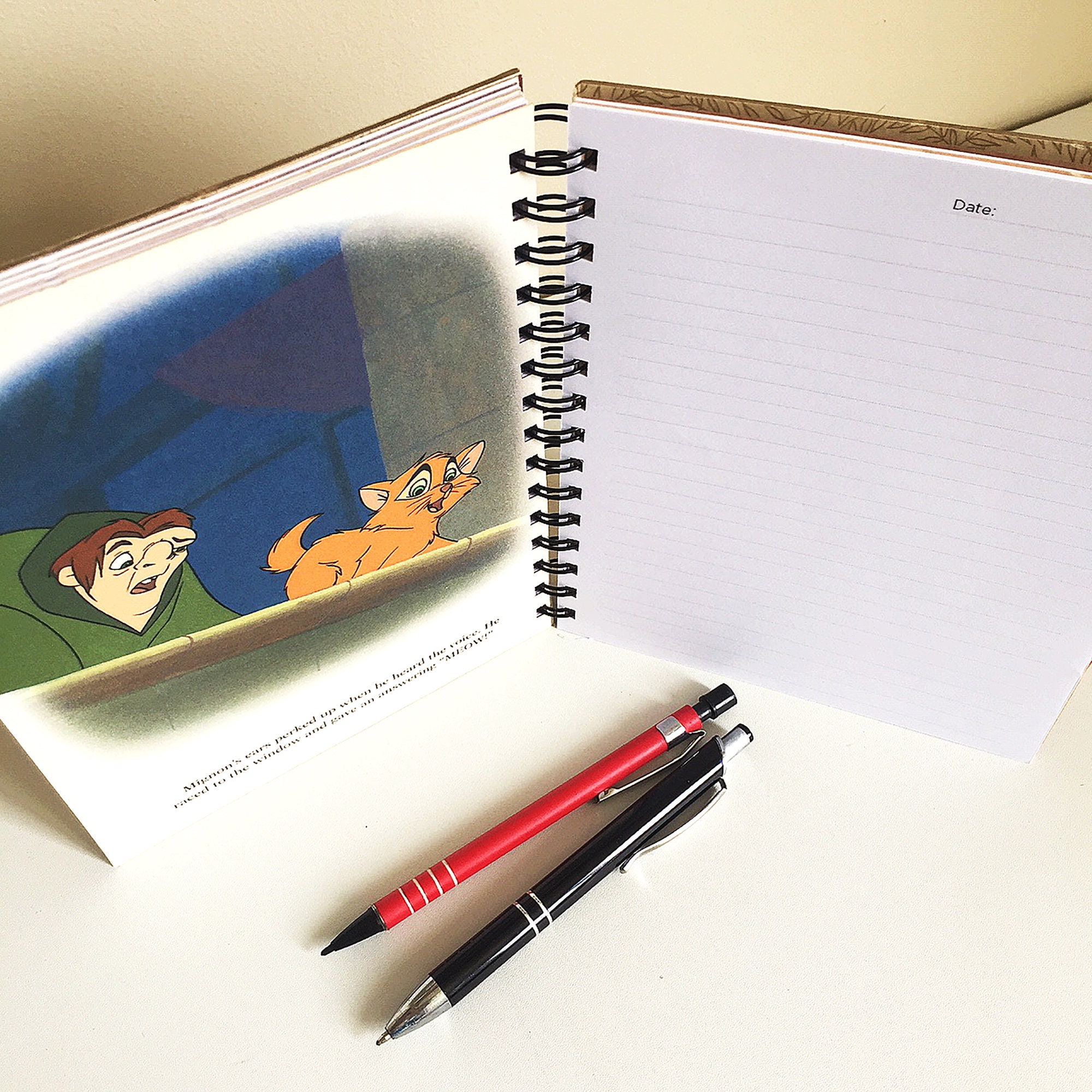 Hunchback of Notre Dame, Quasimodo's New Friend – Up-cycled/recycled ...