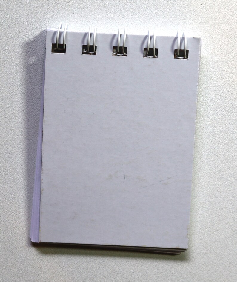 Mini Spiral Notebooks | Birds | Original Art - Etsy