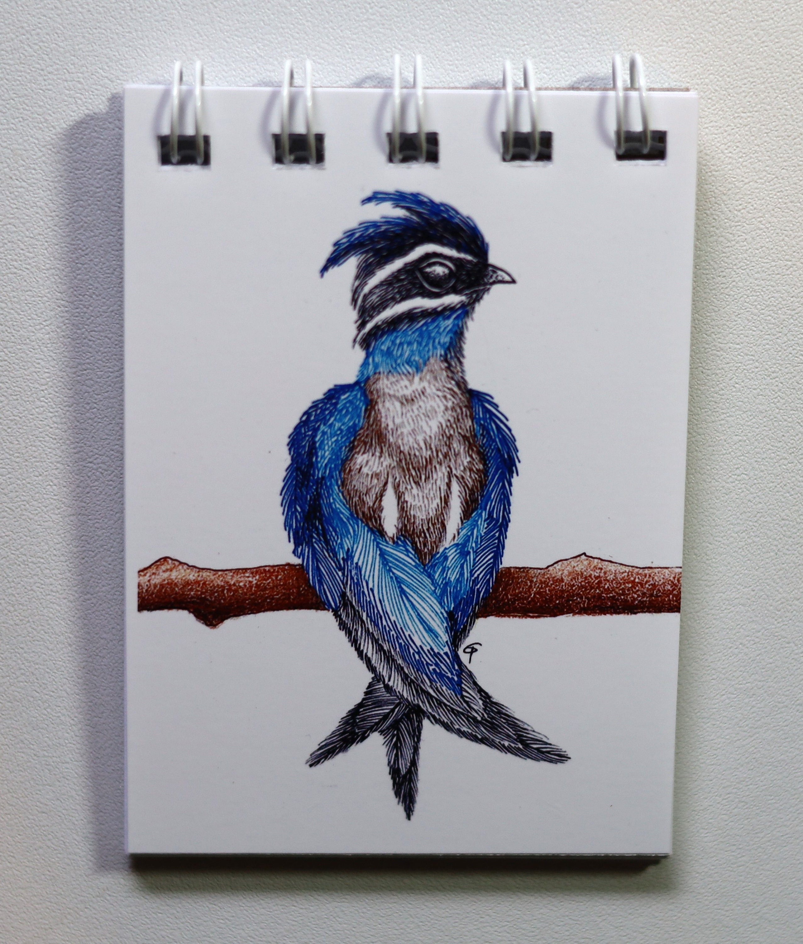 Mini Spiral Notebooks | Birds | Original Art - Etsy