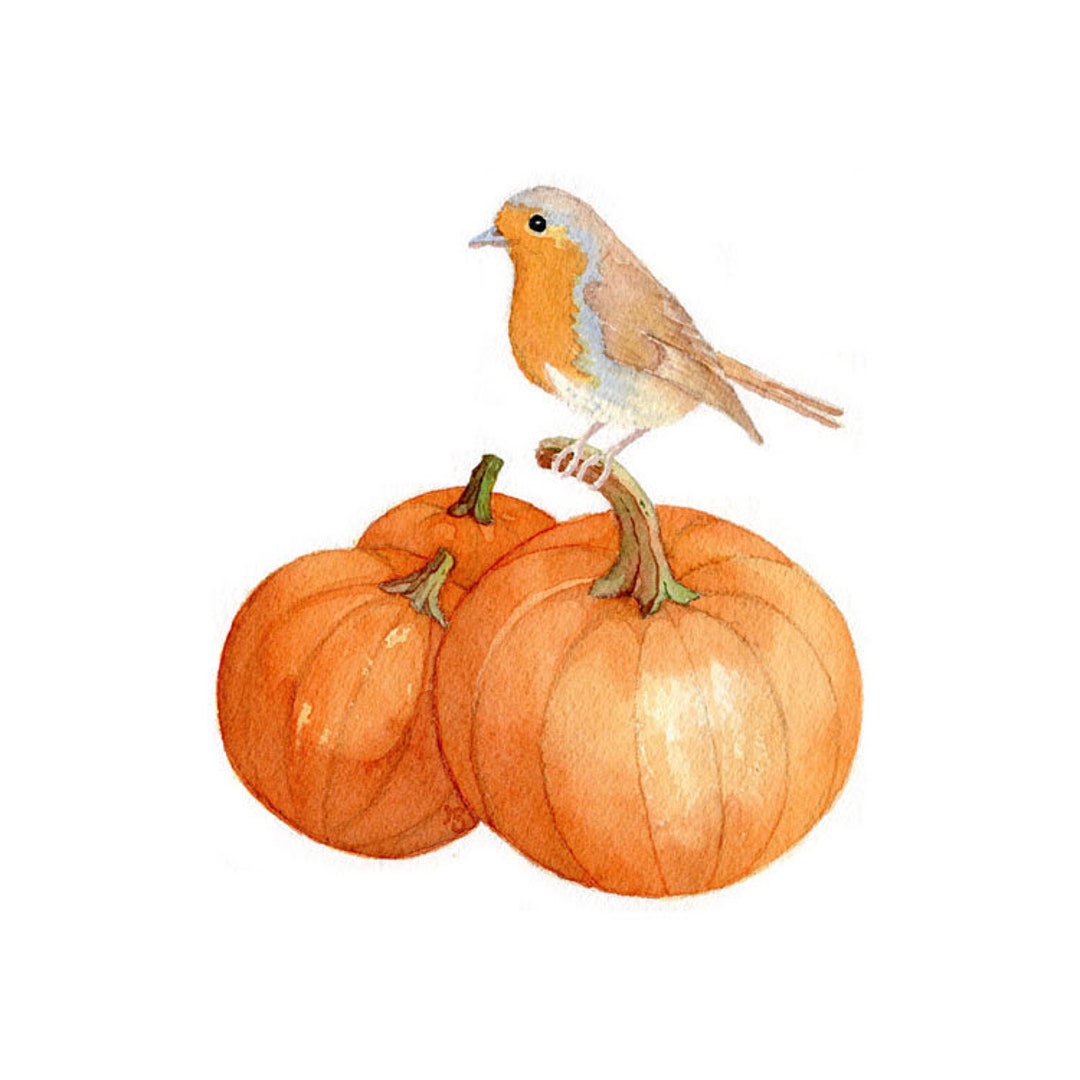 Pumpkins and Robin Bird Instant Digital Download - Etsy