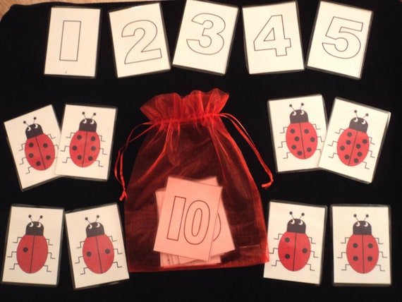 EYFS Maths Circle Time Ladybird Game Match Number and Quantity - Etsy UK