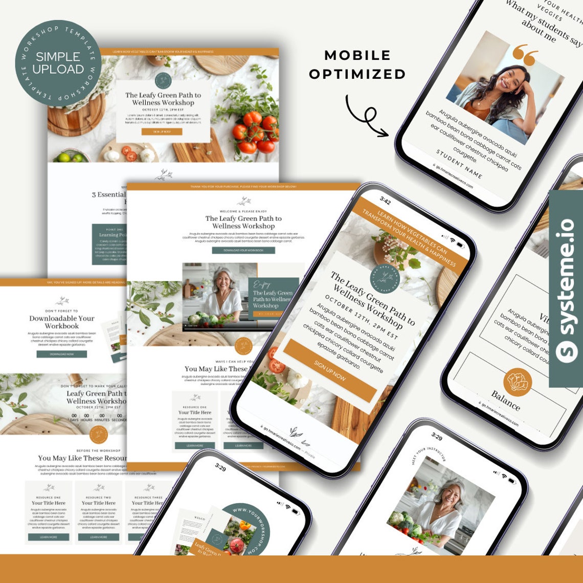 Systeme.io Workshop Sales Page Landing Page Coaching Template Sales ...