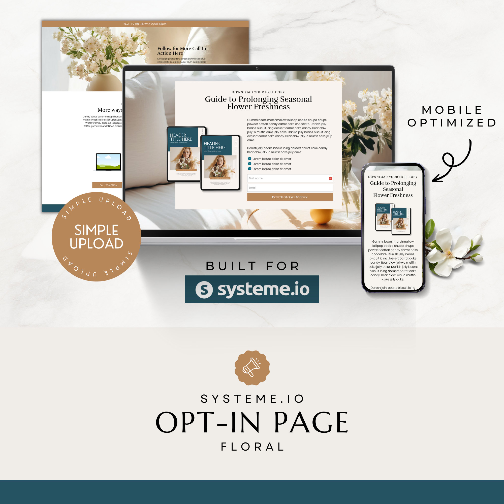 Systeme.io Opt-in Page | Landing Page | Lead Magnet Page | Coaching ...
