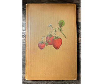 German Rare Book - Etsy