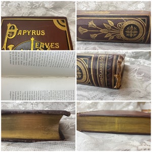 1884 Rare Antique Book, Papyrus Leaves, Poems, Stories, Essays, Brown ...