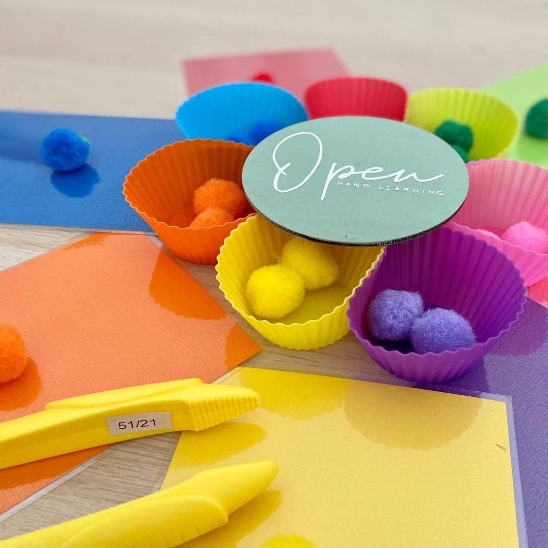 Toddler Colour Sorting Busy Bag - Etsy