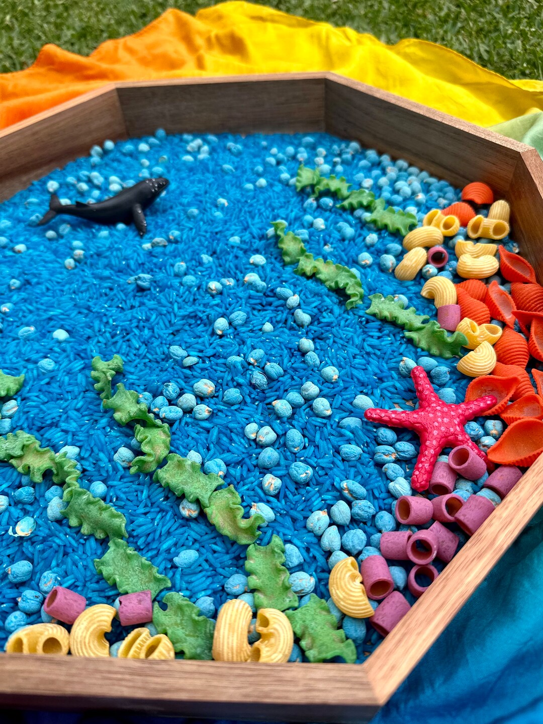 Coral Ocean Sensory Base | Sensory Play | Play Based Learning - Etsy