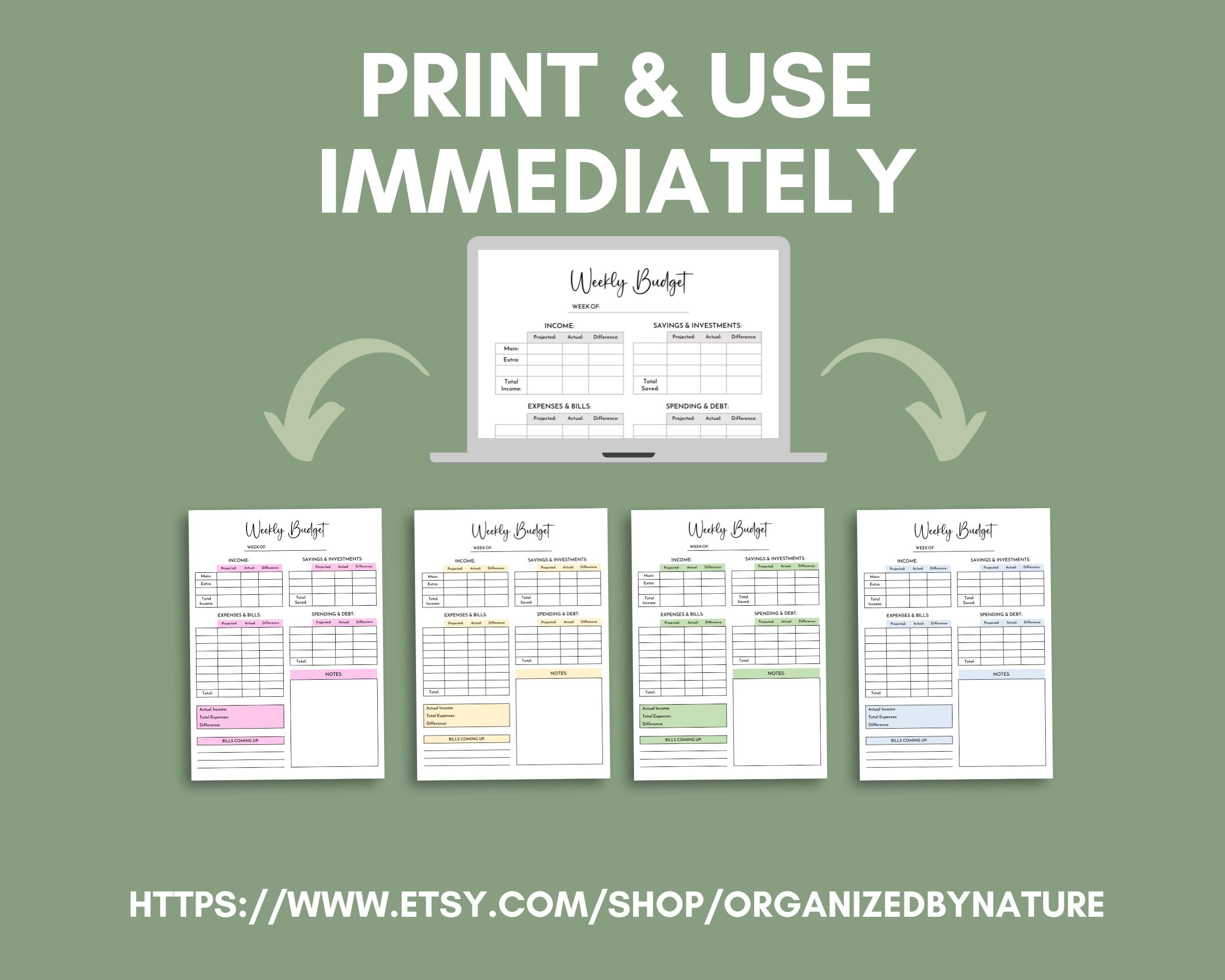 Mini Budget Planner Bundle Printable PDF - Weekly - Biweekly ...