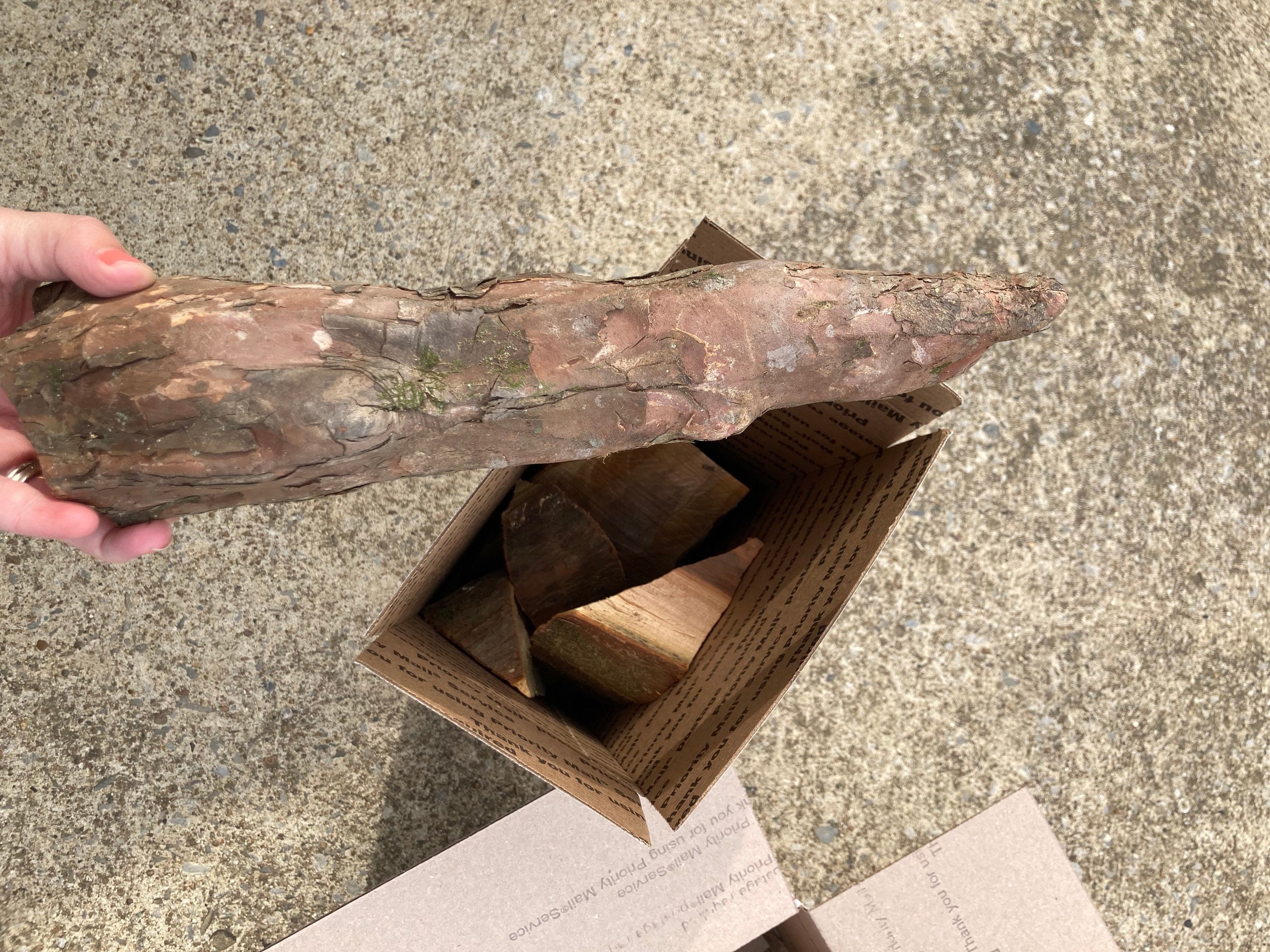 Cypress Wood Variety Box/scrap Wood Box/craft Wood - Etsy