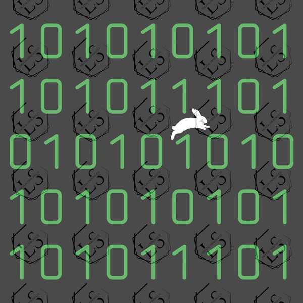 Follow the White Rabbit - Etsy