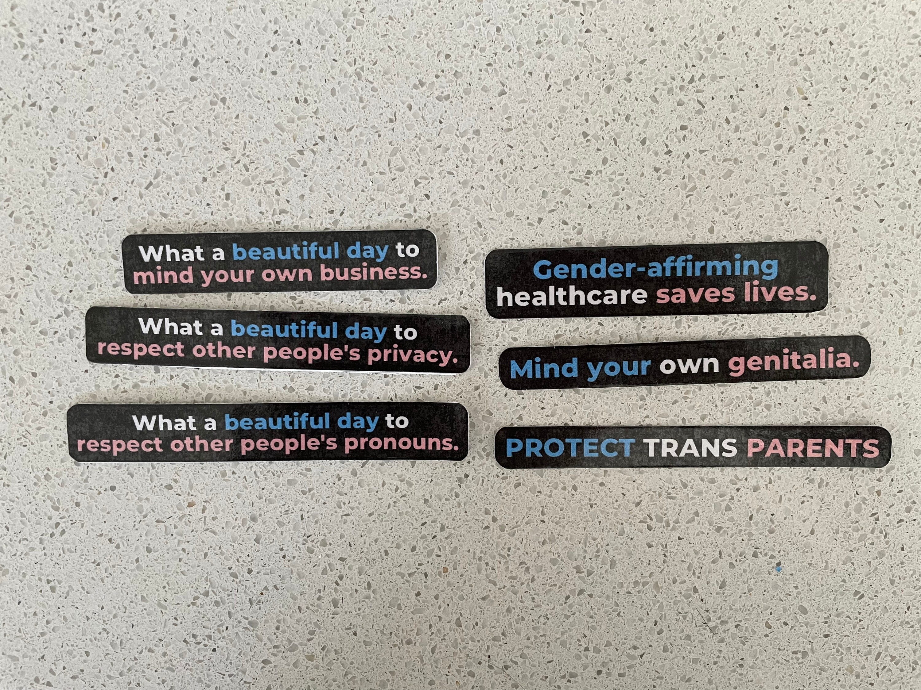 Gender-affirming Healthcare Saves Lives. Transgender Sticker - Etsy