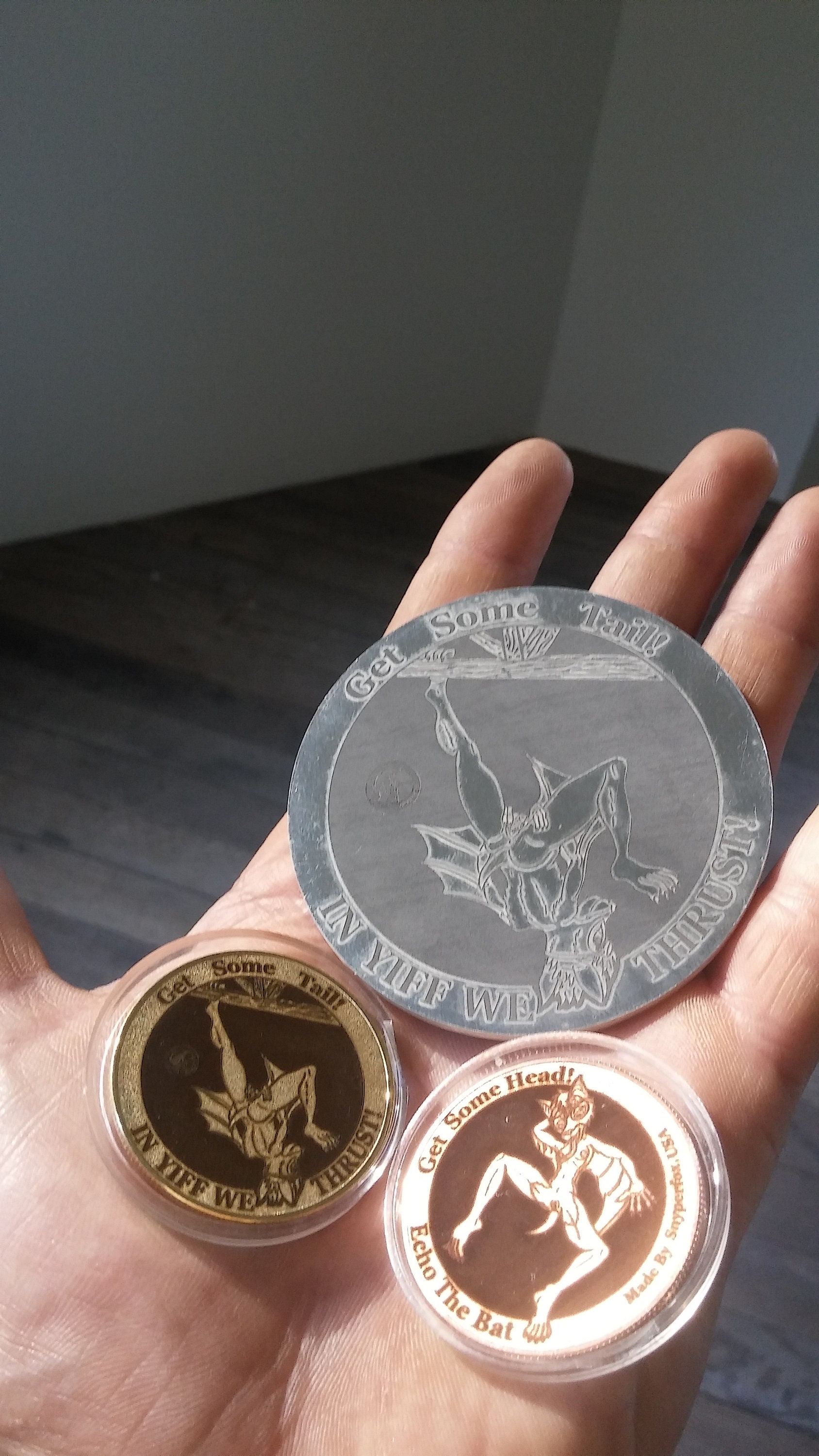 Echo the Bat, in Yiff We Thrust, Furry Challenge Coin - Etsy