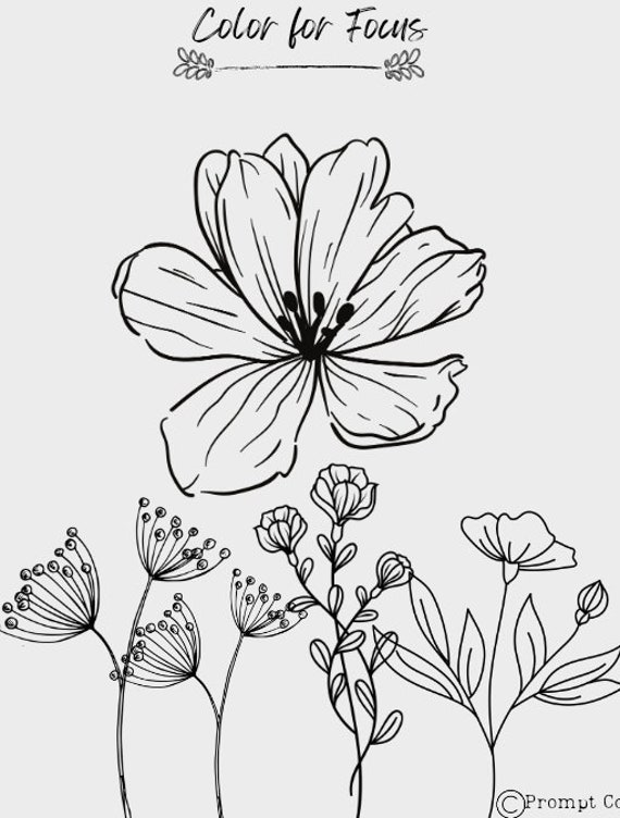 Floral Adult Coloring Page for Meditation Mindfulness Focus | Etsy