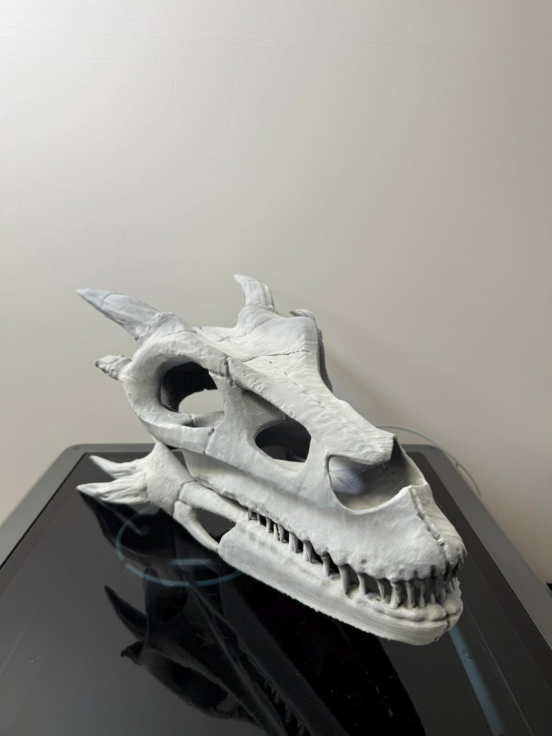 Large Dragon Skull Model A Stunning Decorative Piece for Fantasy Lovers ...