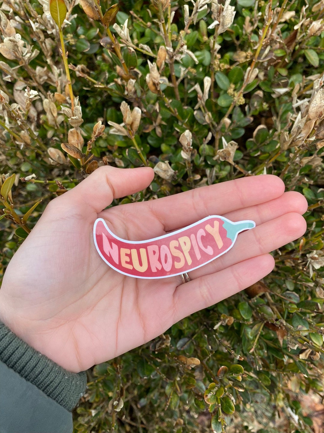 Neurospicy Sticker, Neurodivergent Stickers, Neurodivergent Gift, Funny ...