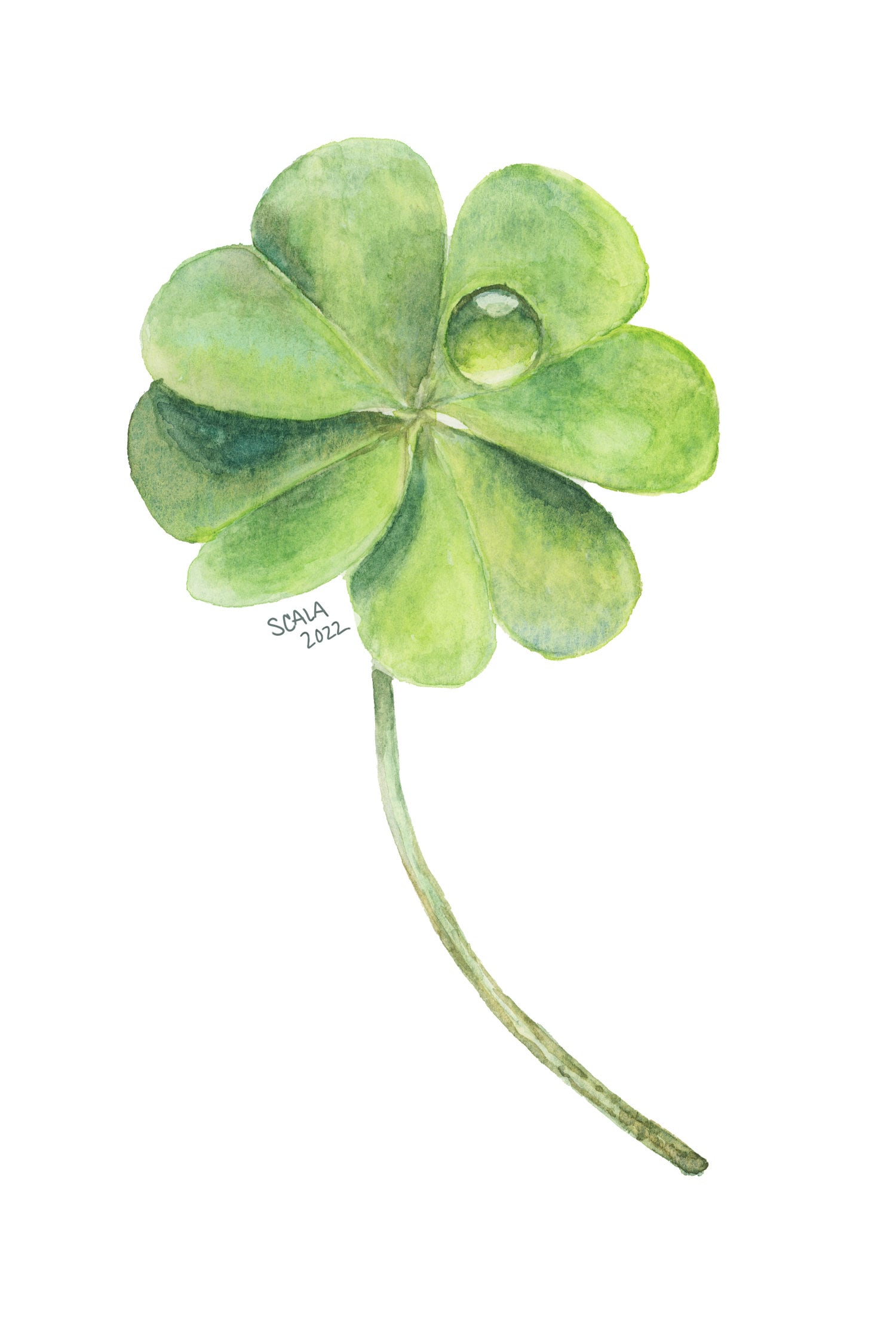 Four Leaf Clover - Watercolor Art Print - Etsy