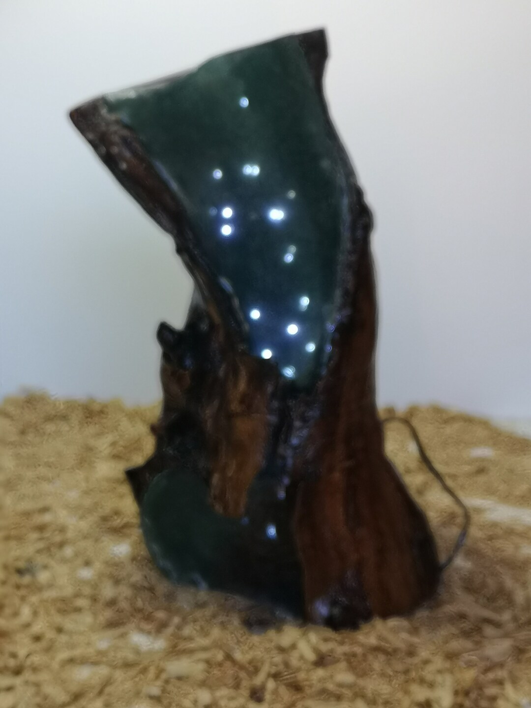 A Unique Olive Wood Hollow Log LED Mood Lamp/nightlight - Etsy