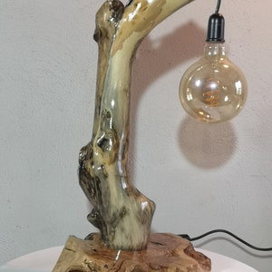 Citrus Wood Table Lamp on Olive Root Base - Etsy