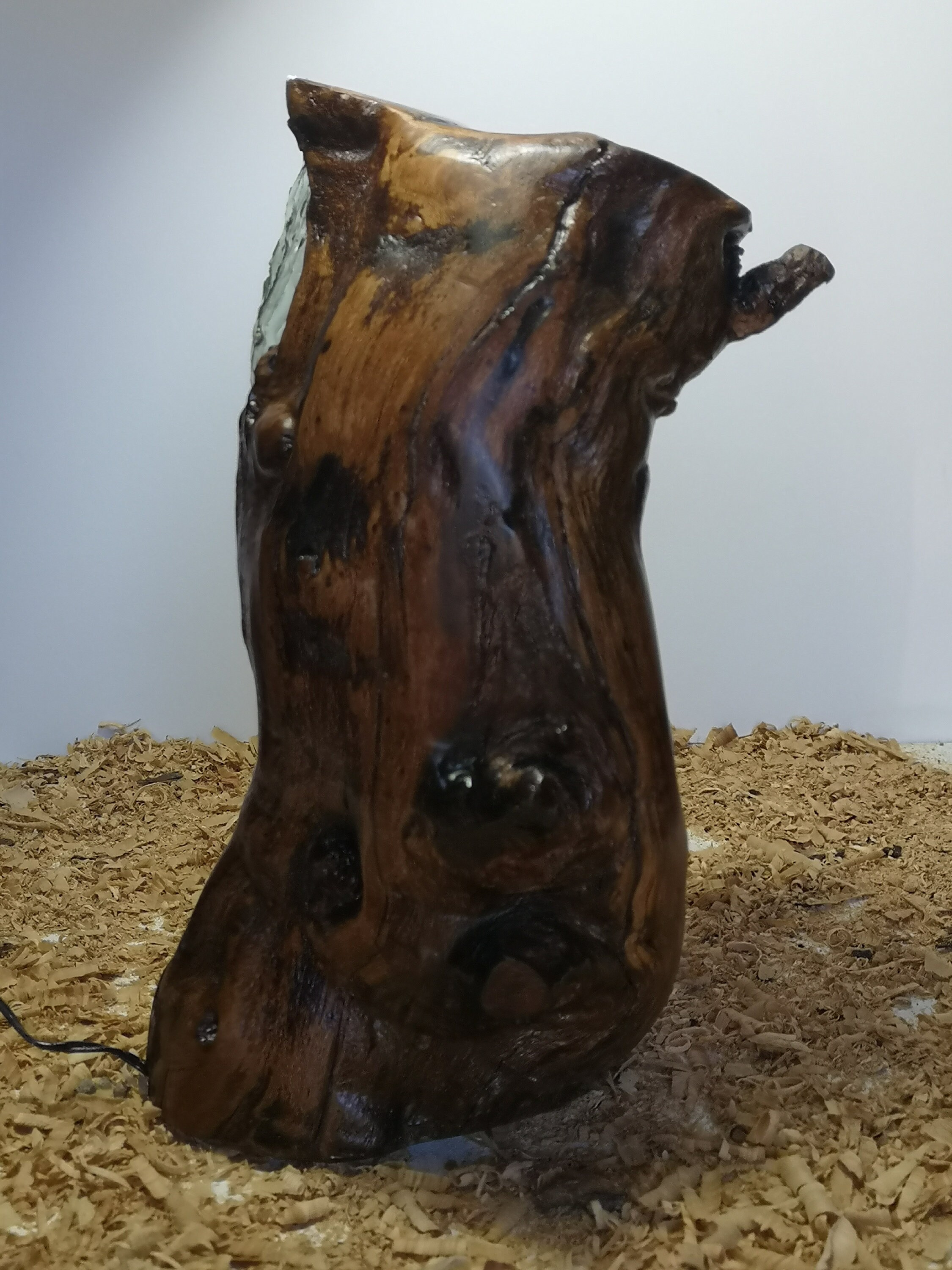 A Unique Olive Wood Hollow Log LED Mood Lamp/nightlight - Etsy