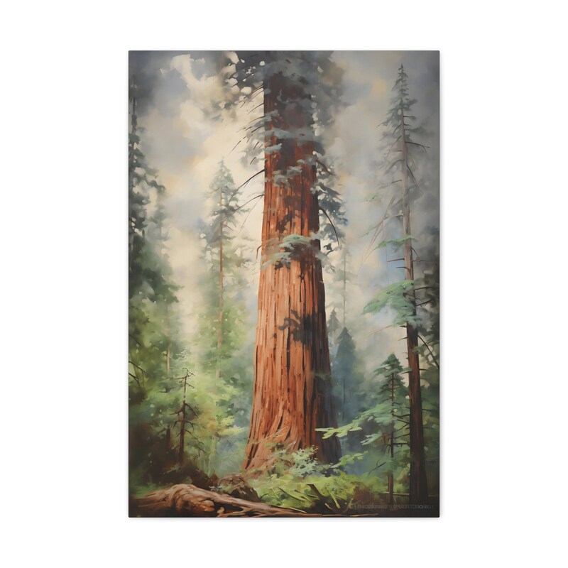 Redwood Tree - Etsy