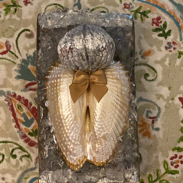 Angel Wing Shell - Etsy