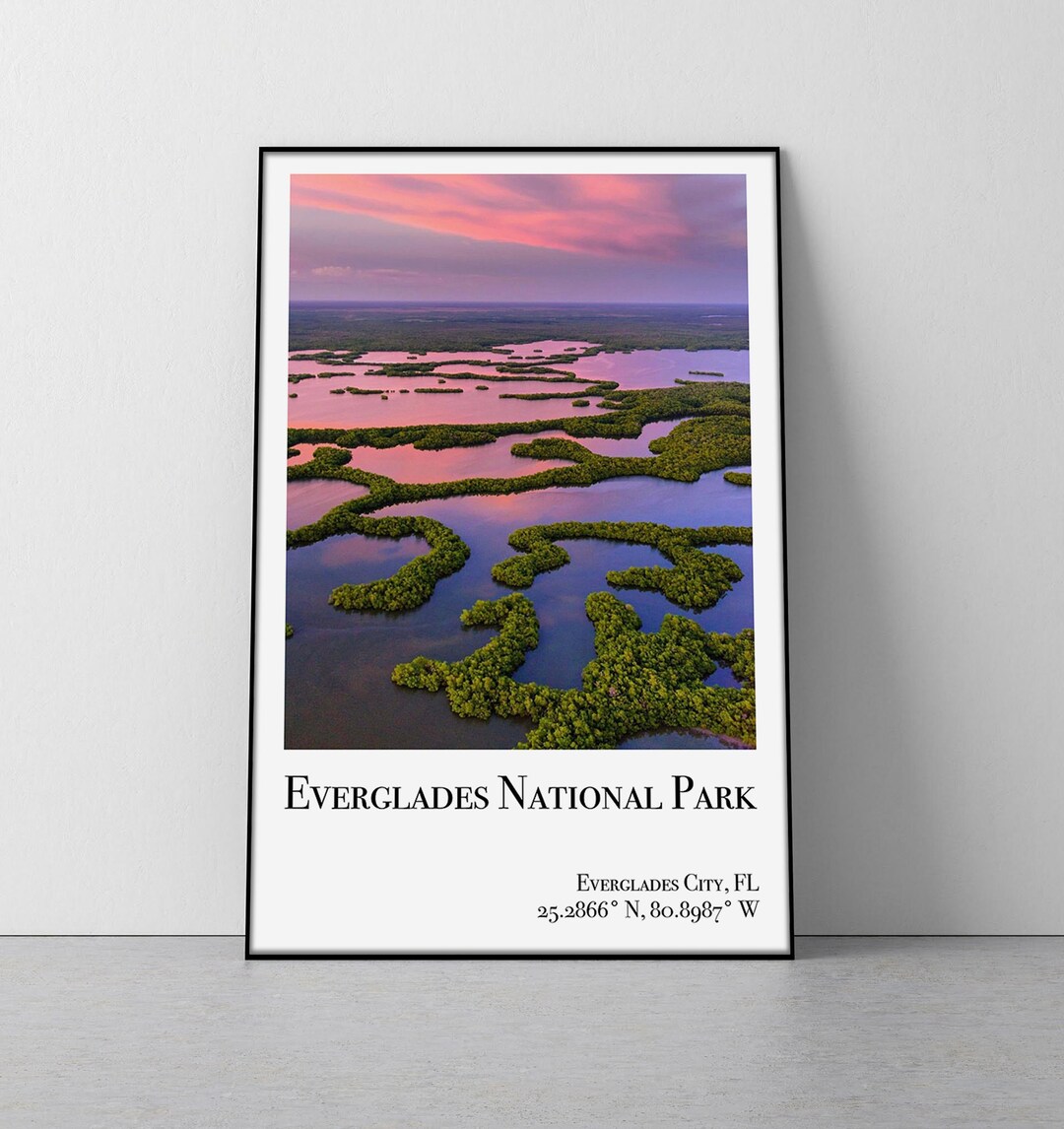 Everglades National Park Poster Everglades Print Everglades National ...